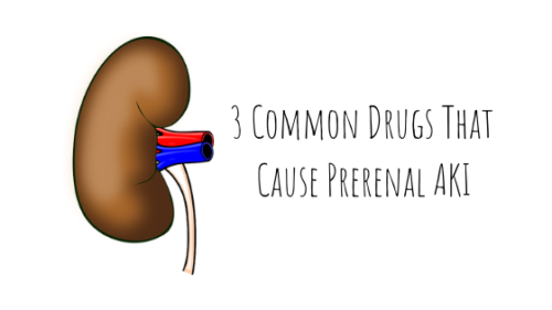 Prerenal Acute Kidney Injury - Must Know Drugs - Med Ed 101