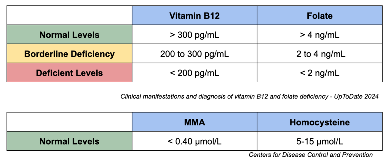 Pernicious Anemia - Diagnosis and Drug Induced B12 Deficiency - Med Ed 101