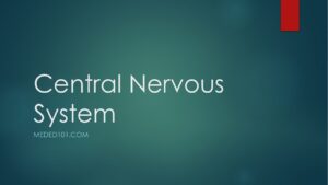 Section 6 Central Nervous System and Psych Handout - Med Ed 101